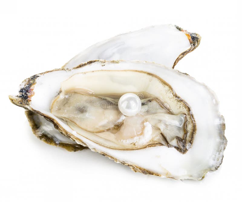 De Parel van de oester stock afbeelding. Image of macro - 2892875