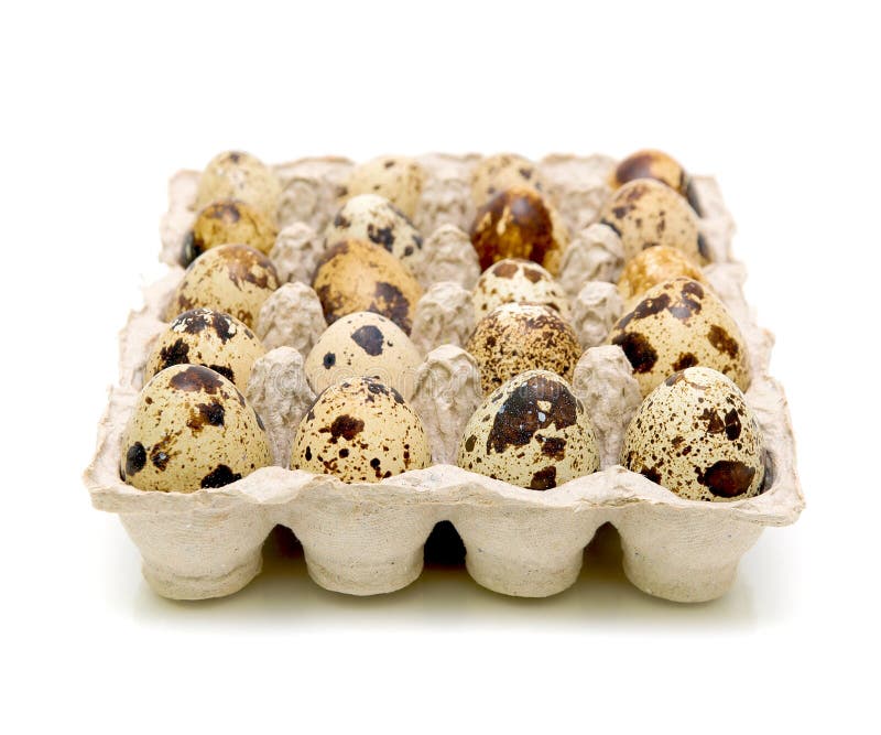 Oeufs de caille image stock. Image du groupe, organique - 24121665