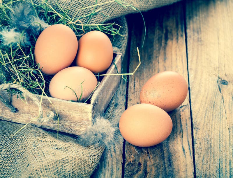 Oeufs De Poulet Et Oeufs De Caille Dans Le Panier Image stock - Image ...