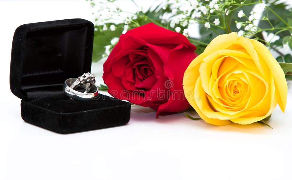 Oferta perfecta foto de archivo. Imagen de regalo, afecto - 18351034