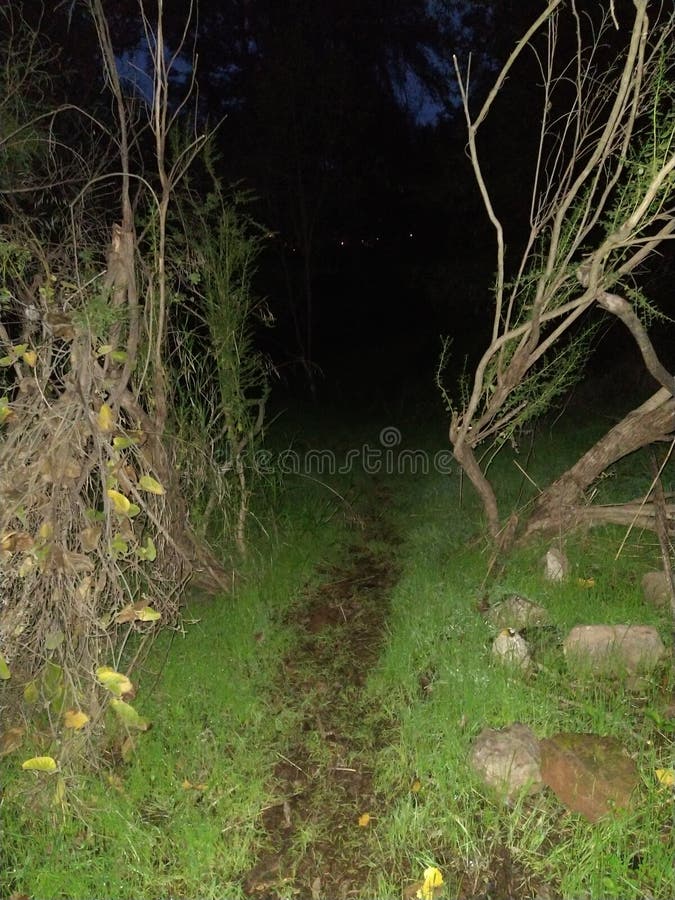 Off the Beaten Path or the Path less Traveled Stock Photo - Image of ...