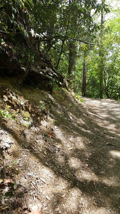 Off the beaten path stock photo. Image of pathe, hike - 70810510