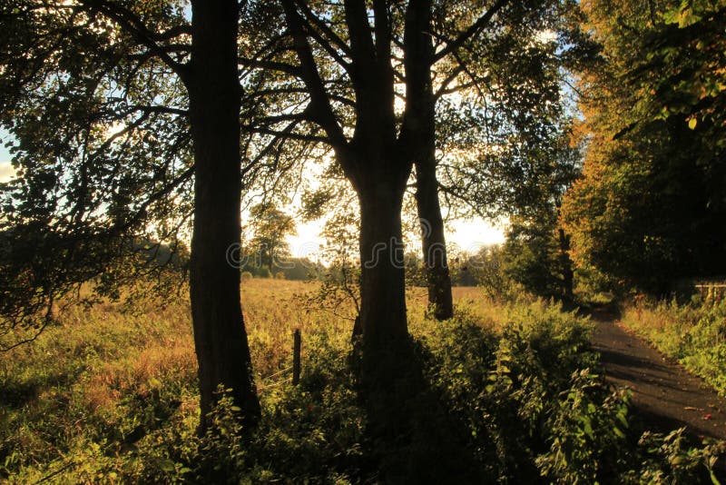 Off from the cycle path stock photo. Image of grass - 140268178