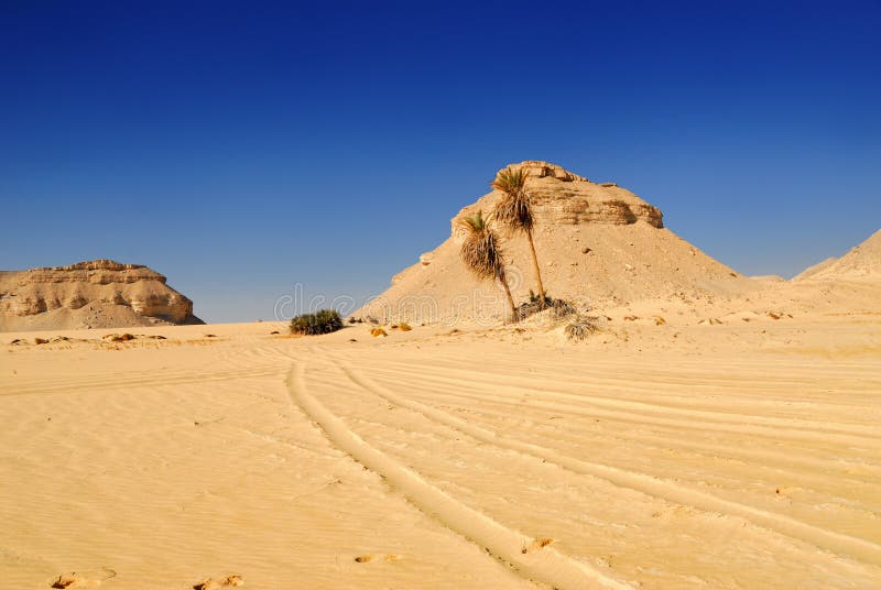 Off road in Africa stock image. Image of landscape, heat - 19632599