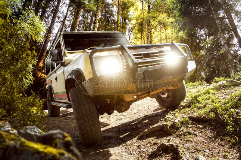 Off-Road Car Driving in the Forest Stock Image - Image of people ...