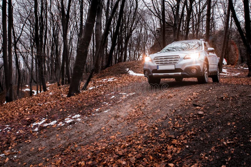 Off Road Car Travel at Winter Forest Stock Image - Image of woodland ...