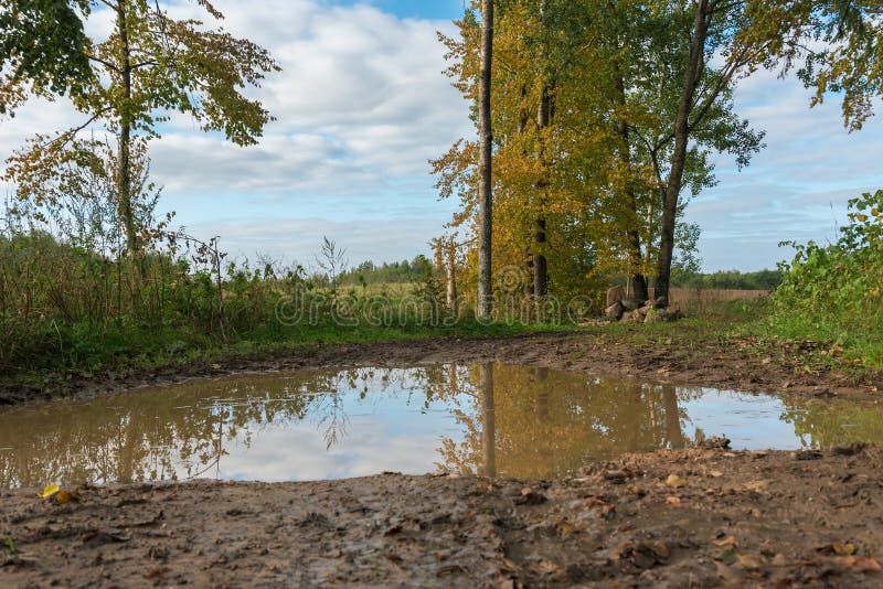 Road in the countryside stock photo. Image of damaged - 248250520