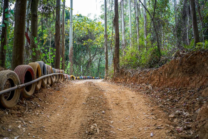 Off-road Karting Track, Mountain and Dirt Road Forest Track Stock Image ...