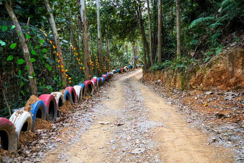 Off-road Karting Track, Mountain and Dirt Road Forest Track Stock Photo ...