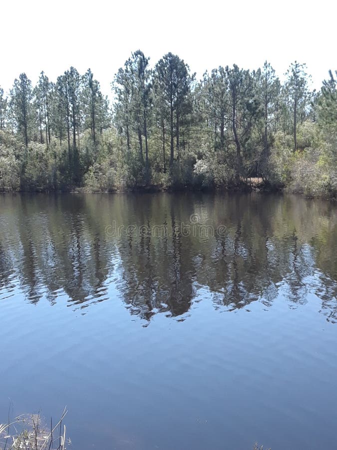 Off-road park, Hortense GA stock photo. Image of still - 137626800