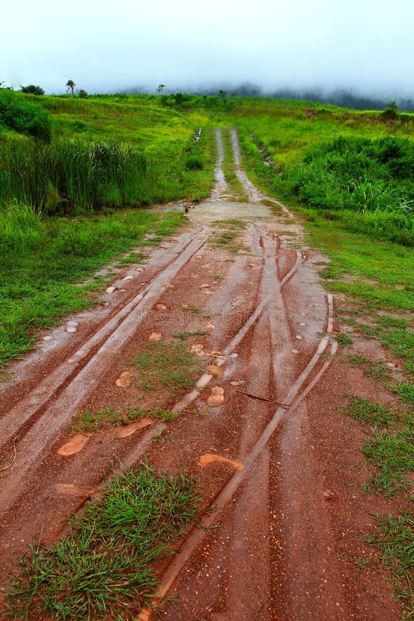 Off-road track stock image. Image of dirt, four, scene - 16595403