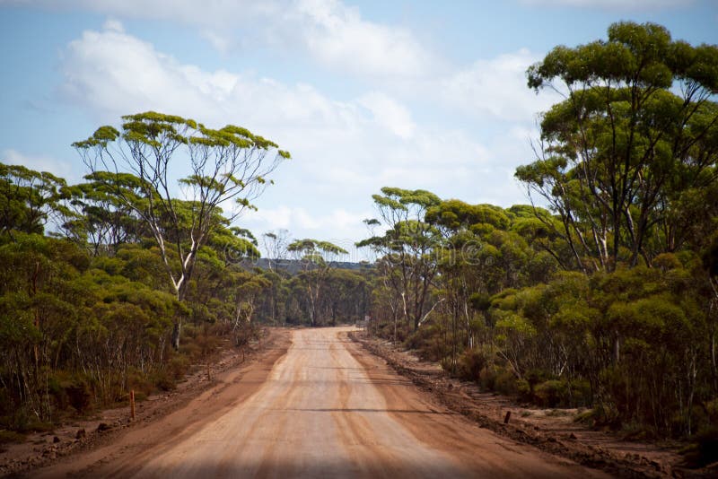 Off Road Track stock photo. Image of track, route, offroad - 117841886