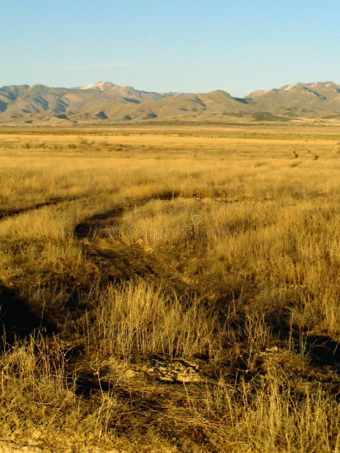 Off Road Tracks through Grassy Plain Stock Photo - Image of foothills ...