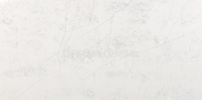 Off-white Colour Natural Quartz Marble Design with Natural Vines Use ...