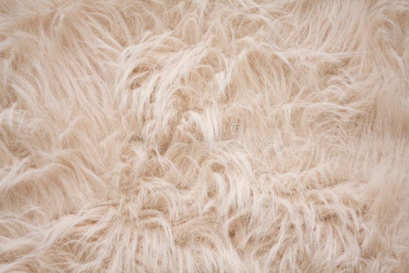Off White Cream Colored Furry Background Stock Photos - Free & Royalty ...
