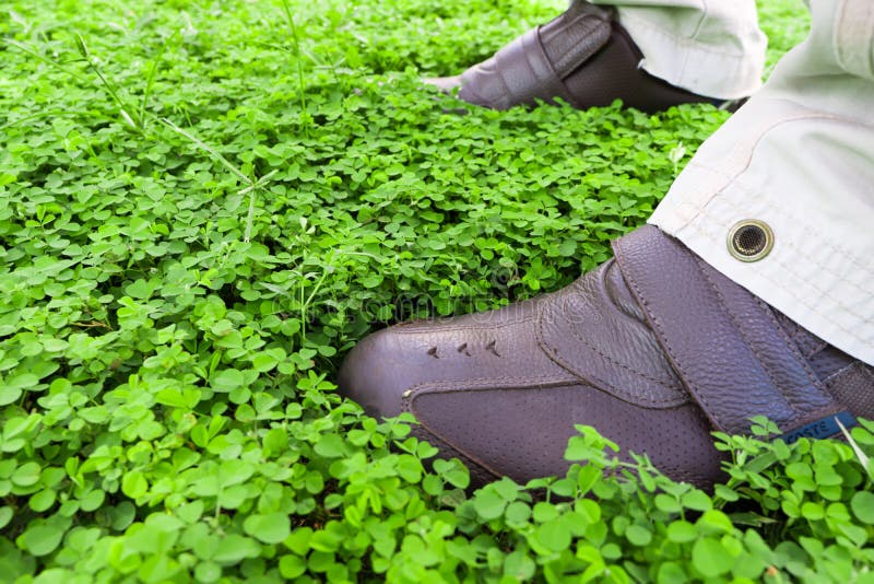 Offend nature stock image. Image of leisure, care, gardening - 36213433