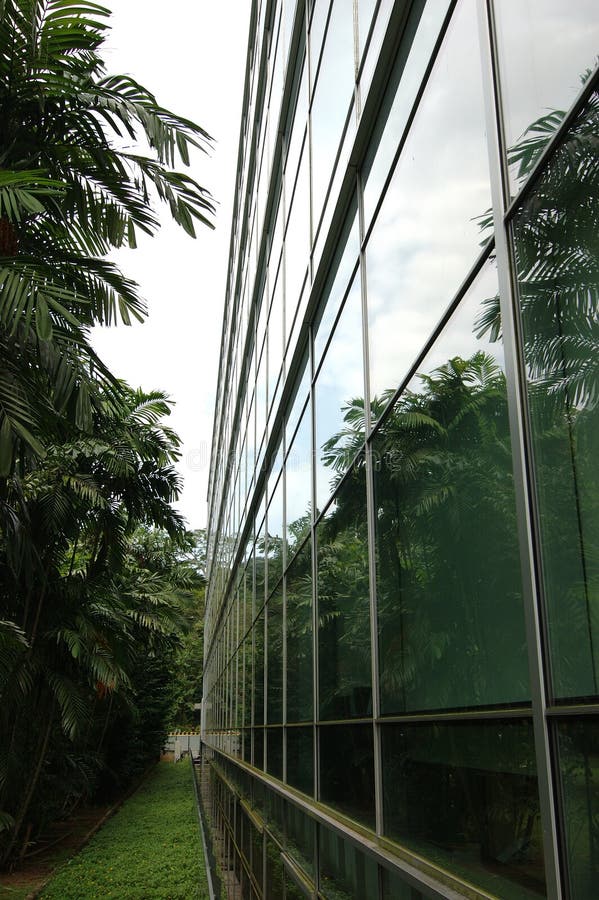 Office stock image. Image of frame, work, tree, palm, office - 434075