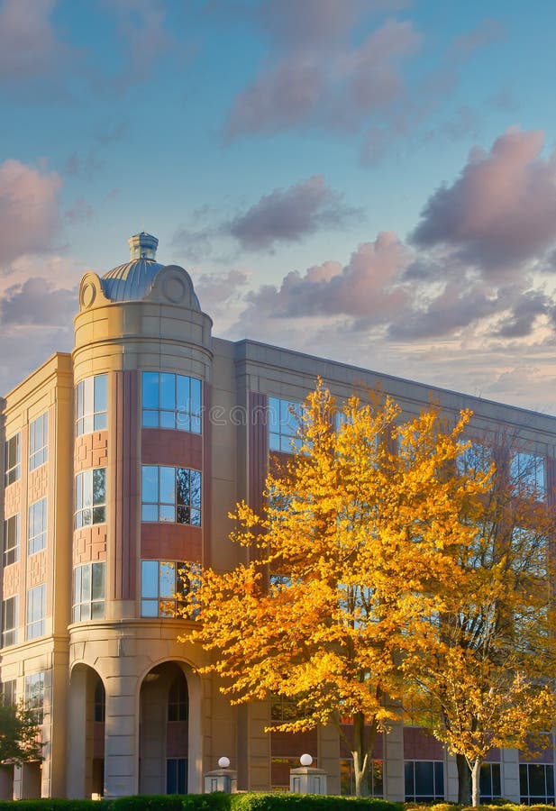 Office Building Behind Autumn Tree in Golden Hour Stock Photo - Image ...