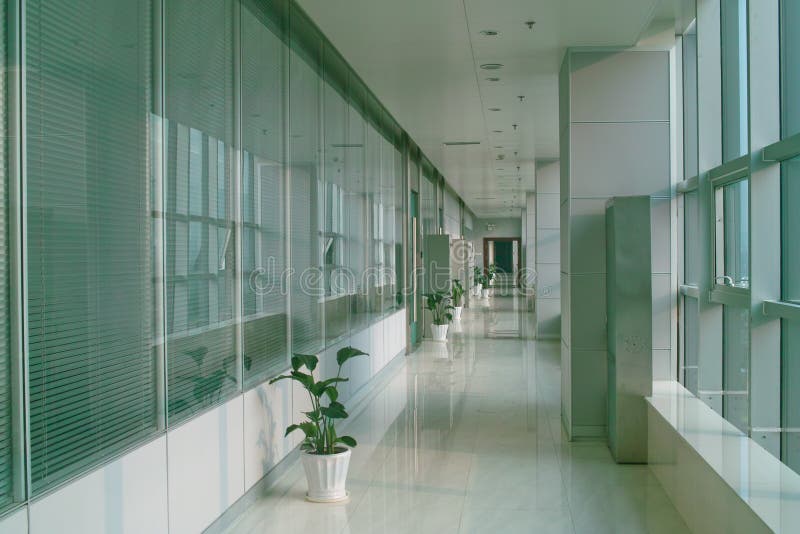 Office building hallway stock image. Image of windows - 19162879