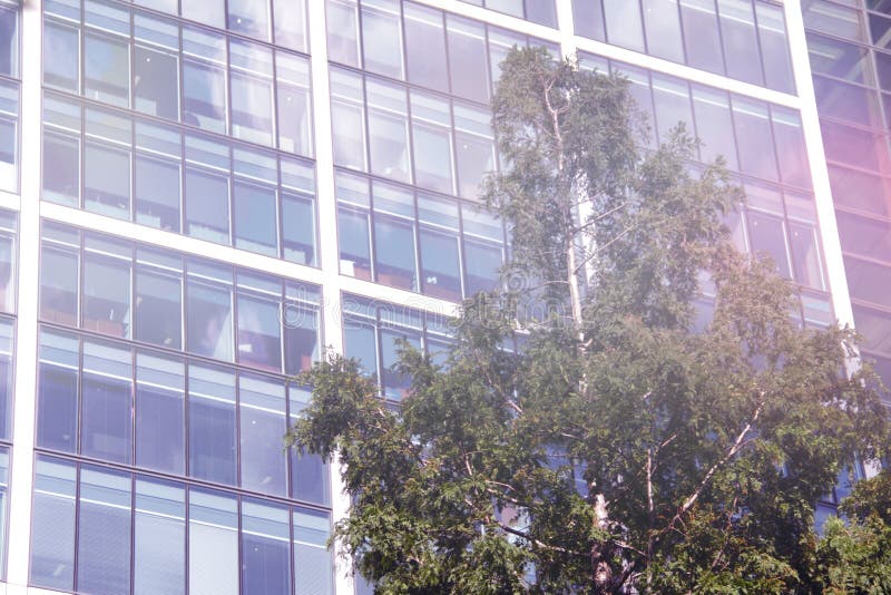 Office Building with a Tree Stock Photo - Image of interest, landmark ...