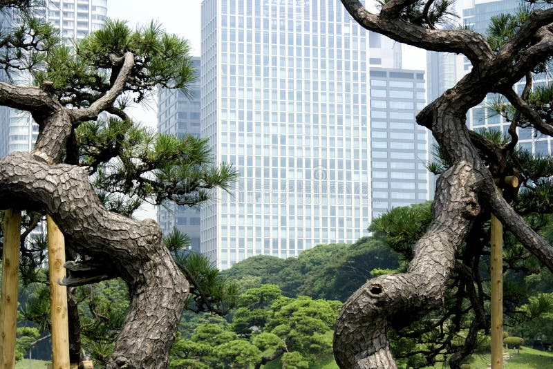 174 Increasing Business Buildings Stock Photos - Free & Royalty-Free ...