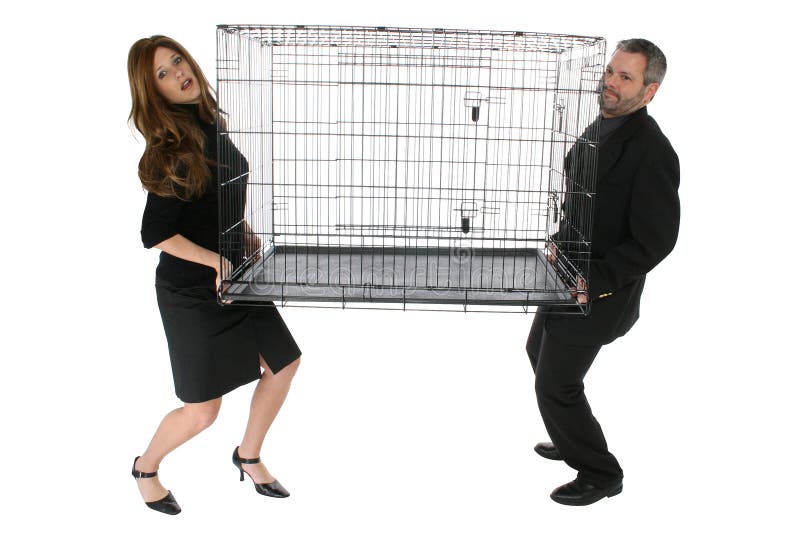 Office Cage stock photo. Image of female, hard, couple - 11154338