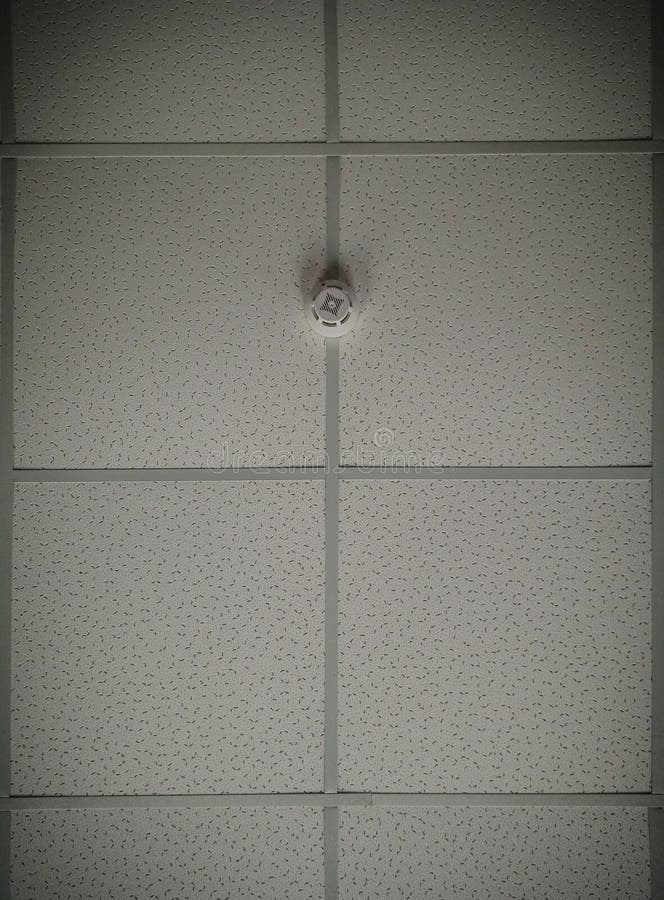 Office Ceiling with White Grid with Fire Safety System on White Mesh ...