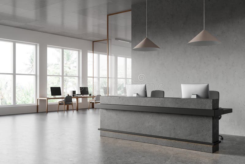 Office Interior with Reception Desk and Coworking Zone, Panoramic ...