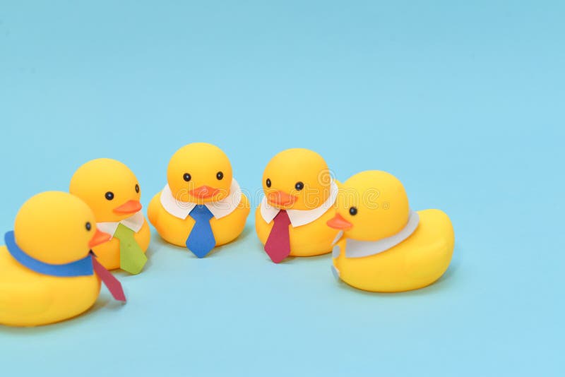 Office and Ducks stock photo. Image of building, silver - 6020670