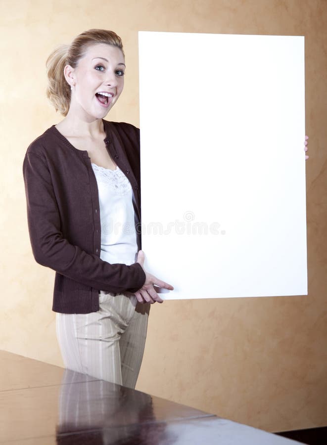 Office Presentation stock photo. Image of briefing, business - 10077186