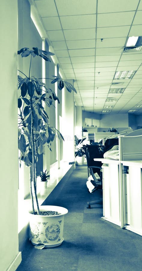 Office room interior stock image. Image of office, tree - 22240359