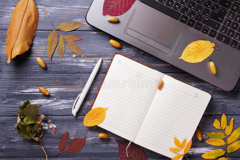 Leaf, Autumn, Computer Wallpaper Picture. Image: 102634151