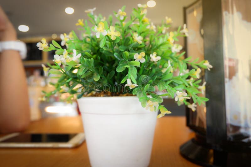 Office Table with Flower Pot. Stock Photo - Image of presentation ...
