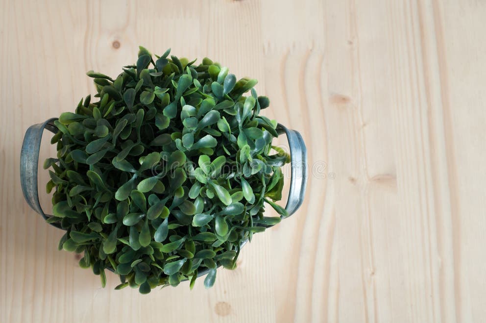 Office Table with Tree on Basket. Stock Image - Image of equipment ...