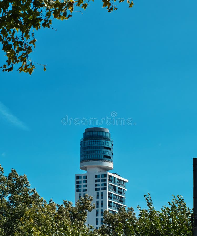 Office Tower Taken from the Side with a Plant Foreground on a Clear Sky ...