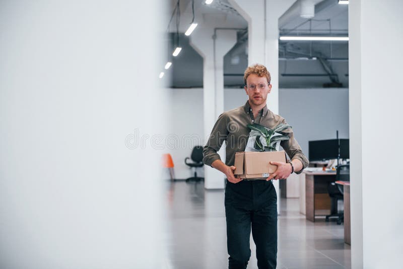 Office Worker in Formal Wear Walking with Box with Green Plant Inside ...