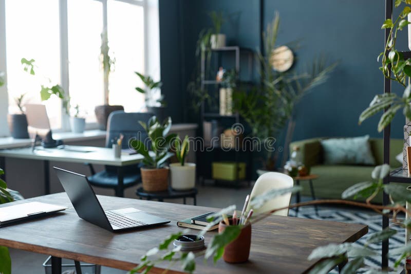 Office Workplace with Laptop on Desk and Plants Stock Image - Image of ...