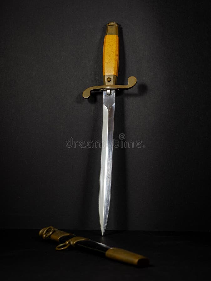 Officer s dagger stock photo. Image of dagger, officer - 259300704