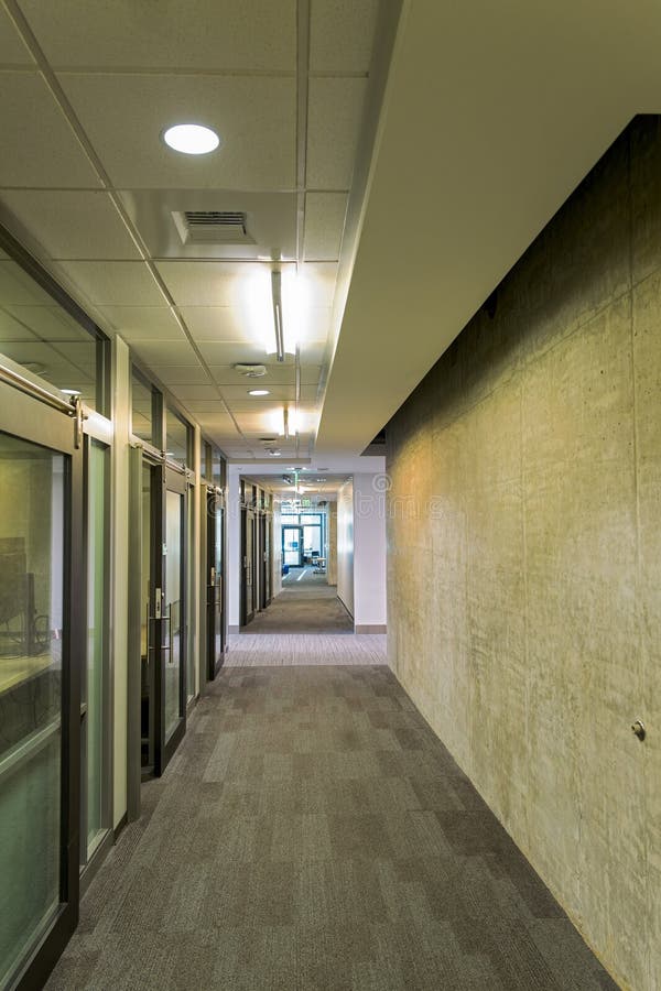 Offices with Glass Doors Line the Hallway of a Modern Office Building ...