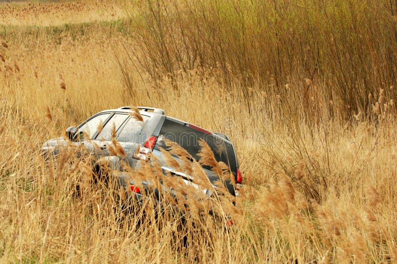 Off road car driving stock photo. Image of auto, landscape - 174667278