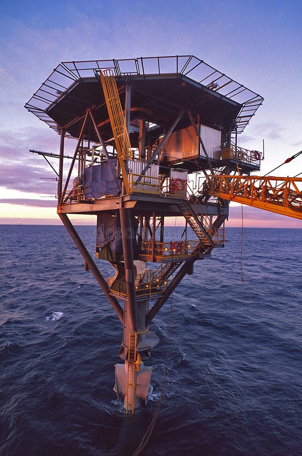 Perch Monopod Stock Photos - Free & Royalty-Free Stock Photos from ...