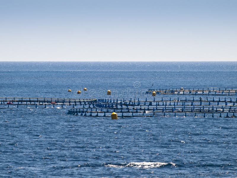 Offshore Fish Farm stock image. Image of ocean, marine - 14972549