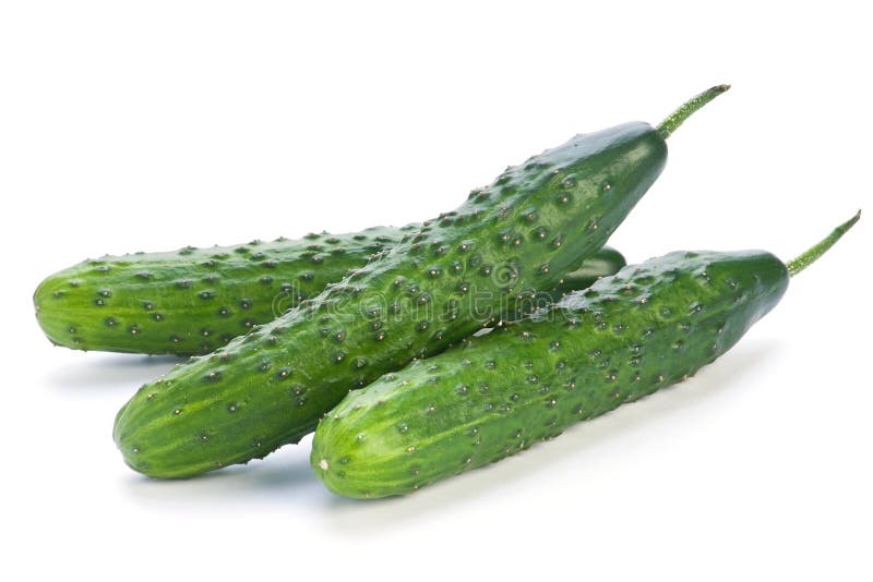 Świeży długi ogórek zdjęcie stock. Obraz złożonej z warzywa - 32805066