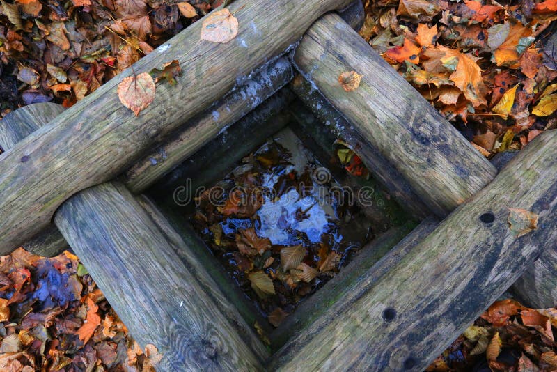 Og well in forest stock photo. Image of fall, colour - 204958006