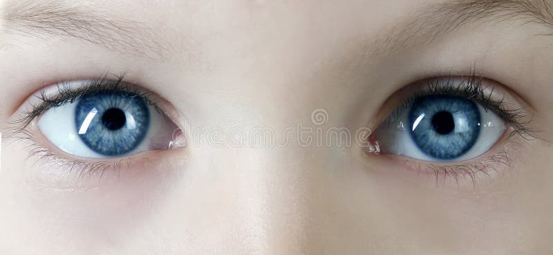 Groene ogen stock afbeelding. Image of hoog, helder, ogen - 9241005