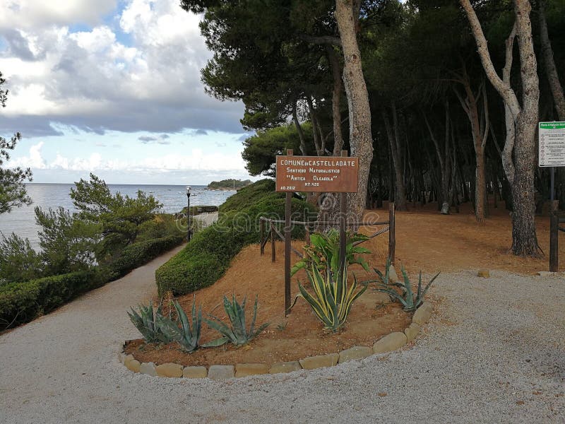 Ogliastro Marina - Scenery of the Beach Stock Photo - Image of forest ... Ogliastro Marina - Scenery of the Beach Stock Photo - Image of forest ...