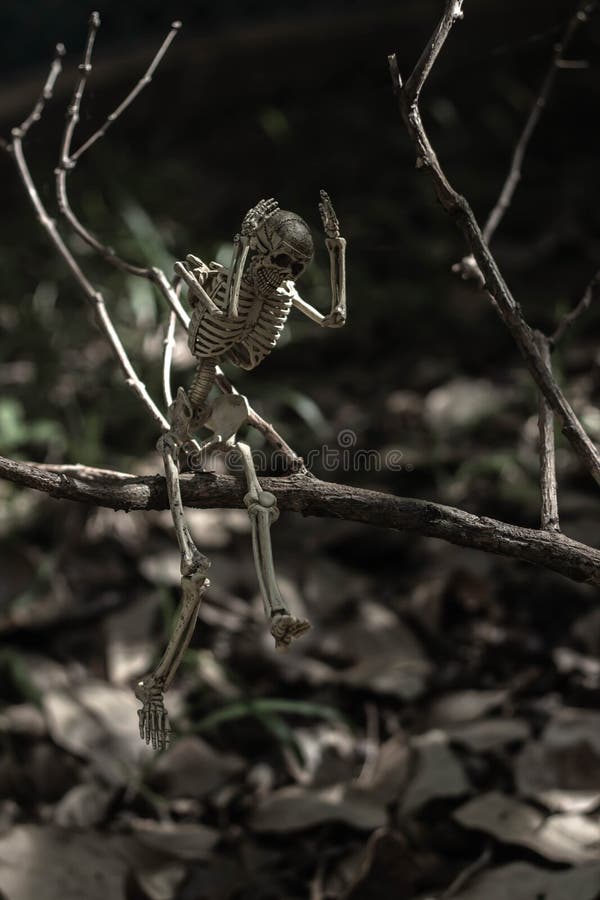 Oh my god skeleton stock image. Image of buddhist, bone - 128852589