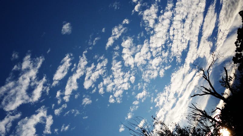 Ohh how high stock image. Image of lost, high - 77404277