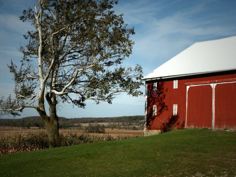 Ohio Barn stock photo. Image of amish, tree, farming, ohio - 2659154