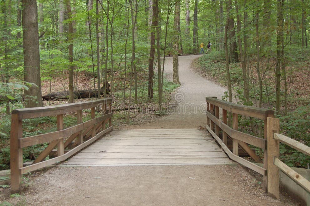 Ohio Bridge 2 stock image. Image of woods, gods, crossing - 5814455